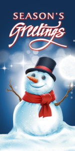 Digital Holiday Pole Banners | MainStreet Designs Inc.